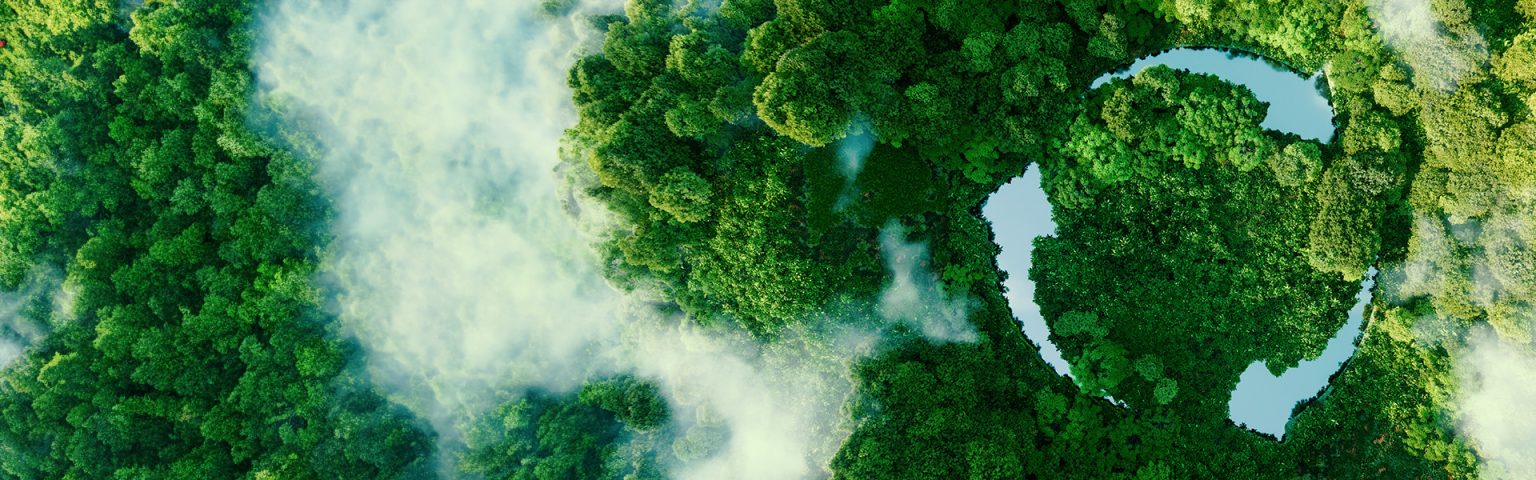 NHS SBS completes NHS Evergreen Sustainable Supplier Assessment